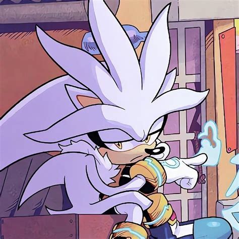 Silver Silver The Hedgehog Pfp Idw Silver Espio Silver The Hedgehog