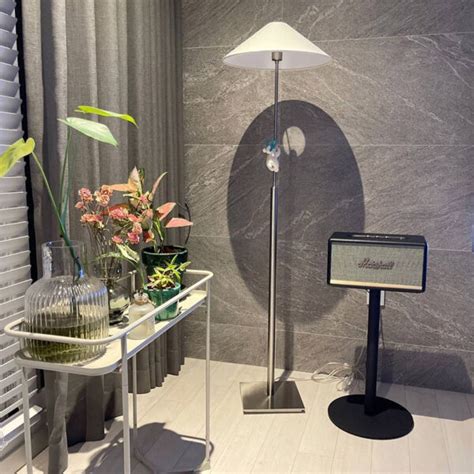 15 Loa Decor đẳng Cấp được Săn Lùng Nhiều Nhất Hiện Nay Công Ty Cổ