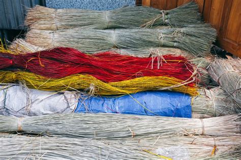 Dry Dyed Reeds Lie In Piles At Warehouse For The Production Of
