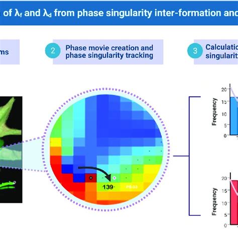 L F And L D Were Determined As Follows 1 Unipolar Electrograms In Download Scientific