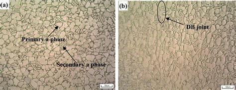 a microstructure of tc4 base alloy b microstructure of diffusion