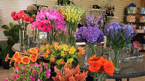 Ujitja E Luleve Me Ujë Të Gazuar është Më E Shëndetshme Gazeta Online Insajderi