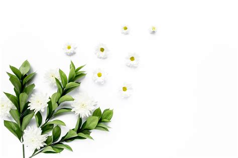 Premium Photo Workspace With White Flower Chrysanthemum And Chamomile