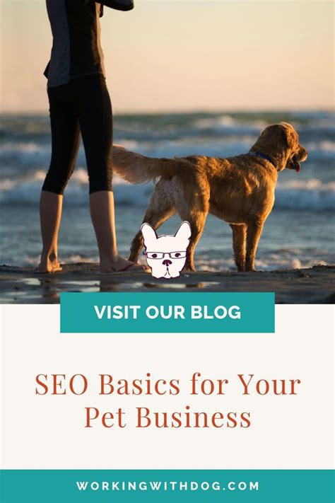 Seo Basics Most Common Myths Revealed