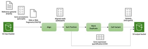 building scalable machine learning pipelines for multimodal health data