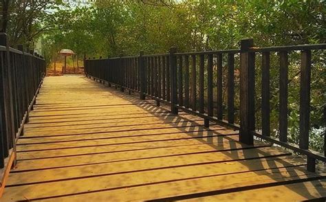 10 Foto Ekowisata Hutan Mangrove Wonorejo Harga Tiket Wisata Alamat Surabaya Kota Sby Jawa