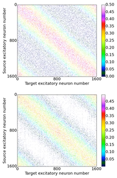 Connectivity Matrix From Input To Target Neuron Population With And