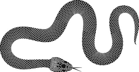 Snake Royalty Free Vector Image Vectorstock Snake Royalty Free Vector Image Vectorstock