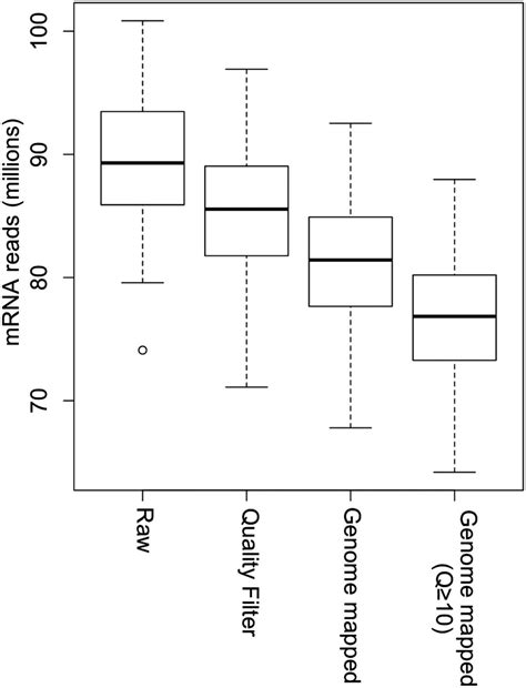 Figure Supplement 1 Processing Of MRNA Sequencing Data From Raw Download Scientific Diagram