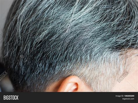 Going Gray Young Man Image And Photo Free Trial Bigstock