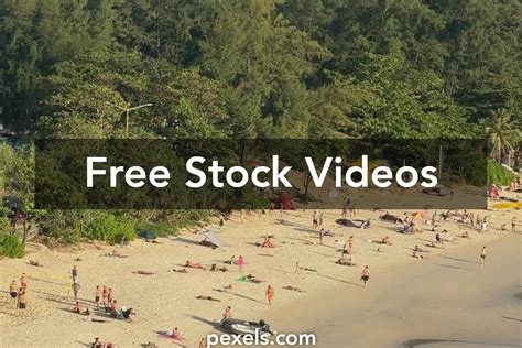 Stepmominbathwithstepson Videos Download The Best Free 4k Stock