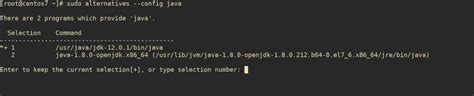 Install Java 12 Openjdk 12 On Centos 76 And Fedora Computingforgeeks