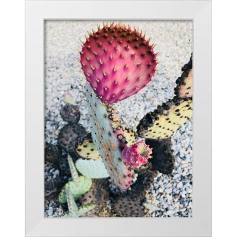 Orlov Irena 12x14 White Modern Wood Framed Museum Art Print Titled Pink Yellow Cactus I