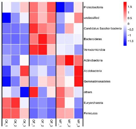 Heatmap Representing Major Differences In Phylum Among Different