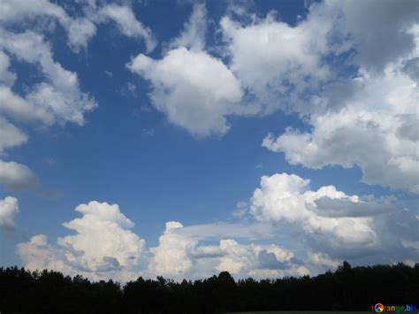 Sky Clouds Forest