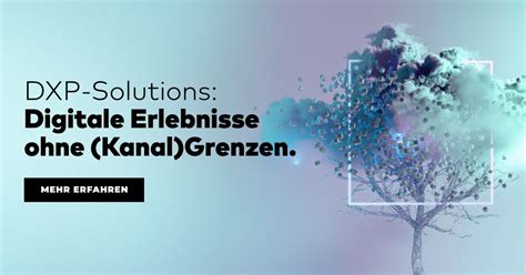 Dxp Solutions Grow Digital Group