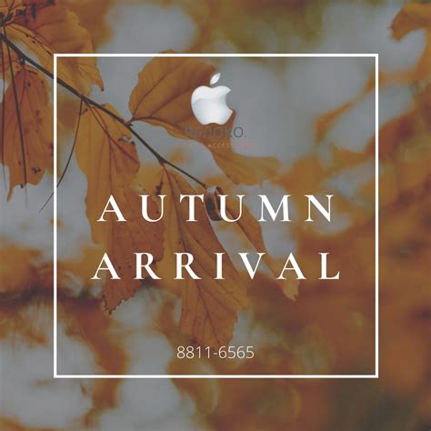 Imart Гар утас бөөний худалдаа Yabloko 💕Хайртай дотны хүндээ бэлэглэх бэлэгээ манай