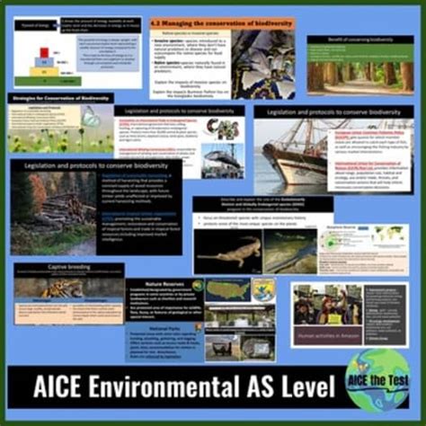 aice environmental unit 4 ecosystems and biodiversity notes lecture