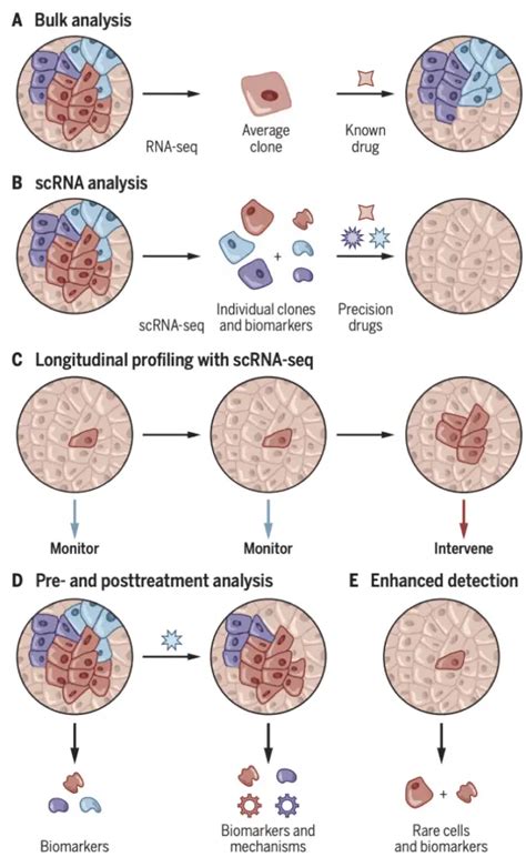 Chapter 32 Artificial Intelligence And Mass Cytometry Learn Cytometry