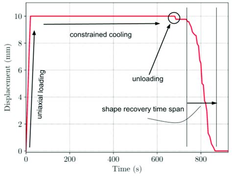 Time Displacement Curve For Tmc Download Scientific Diagram