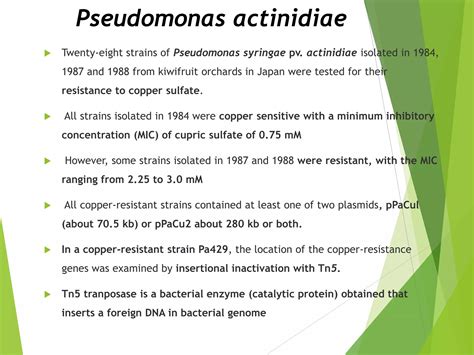 Plasmid Borne Gene Expression In Prokaryotes Pptx