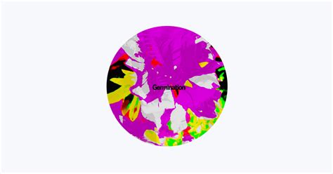 ‎may Forth Apple Music