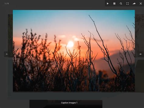 Flip Card In Javascript Onclick Event — Codepel
