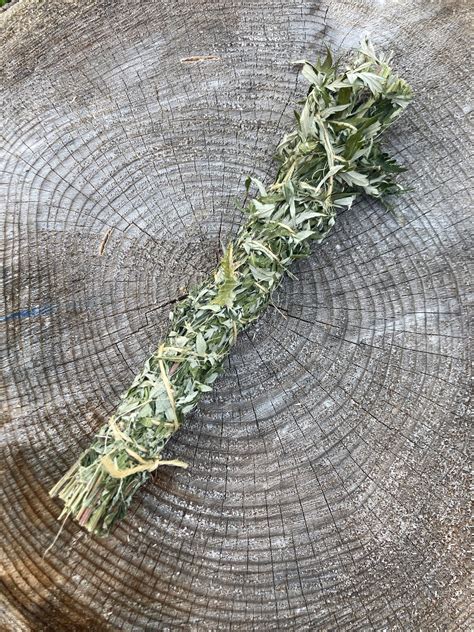Home Grown Dried Mugwort Bundle Mugwort Smoke Incense Dry Mugwort
