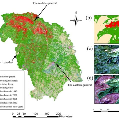 Annual Forest Disturbance And Recovery Areas And Rates Derived From The