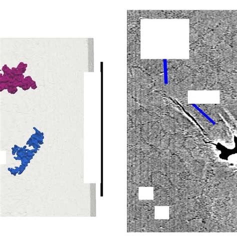 A Schematic Illustration Of An Internal Pore Which Nucleated A Crack