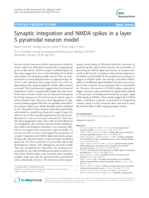 Pdf Synaptic Integration And Nmda Spikes In A Layer 5 Pyramidal