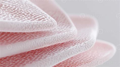 Macro View Of Artificial Skin Layers Developed For Medical Grafts