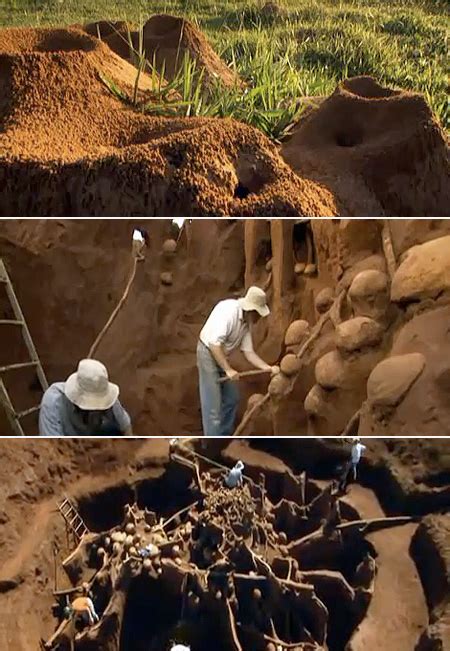 What The Interior Of A Giant Ant Hill Looks Like Techeblog