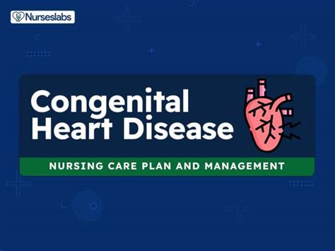 Cardiac Care And Cardiovascular System Nursing Care Plans Nurseslabs