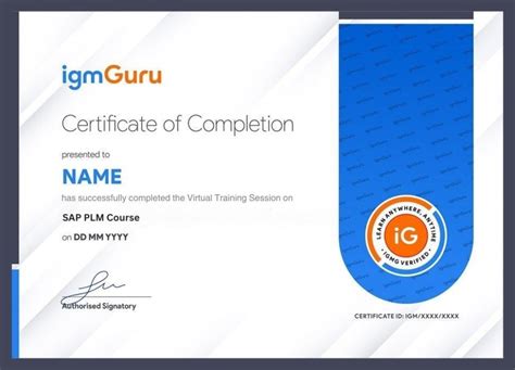 Sap Plm Training Course Online 2026