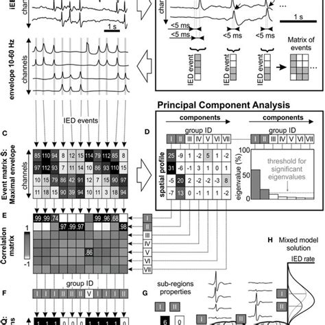 Summary Of The Interictal Epileptiform Discharge Ied Sorting Results Download Table