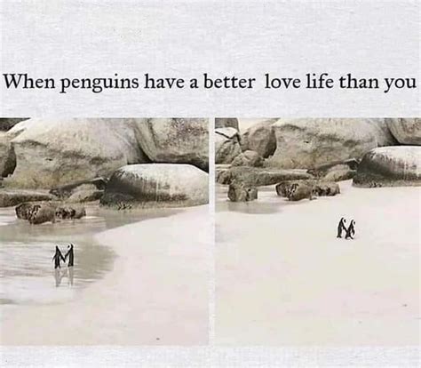 My Daily Reminder Why I Am Depressed R Depression Memes