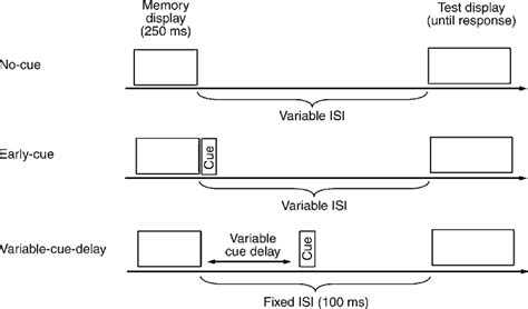 Schematic Illustration Of Events And Time Course In The No Cue