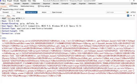中国蚁剑流量特征 蚁剑生成webshell csdn博客