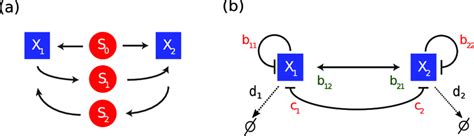 Schemes Of The Two Species System For The Chemostat Model A And The