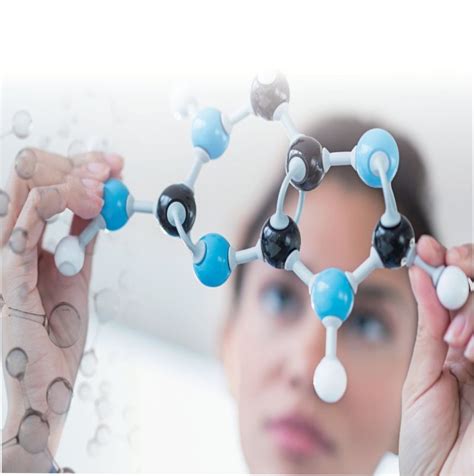 Dl Amino Acids Spincotech