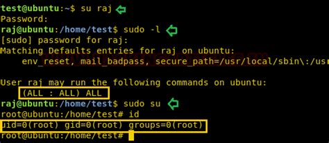Linux For Pentester CAT Privilege Escalation Hacking Articles