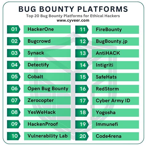 Cyveer 𝗕𝘂𝗴 𝗯𝗼𝘂𝗻𝘁𝘆 𝗵𝘂𝗻𝘁𝗶𝗻𝗴 A Dynamic Ethical Cybersecurity Practice