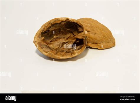 Nuts With Shell And Without Stock Photo Alamy