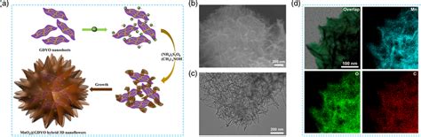 Azib Cathodes Using Graphdiyne Substrate A Schematic Illustration Of Download Scientific
