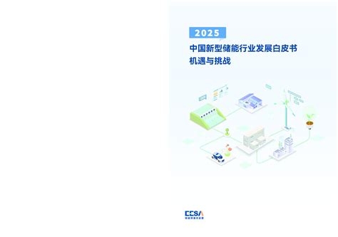 2025年中国新型储能行业发展白皮书 机遇与挑战