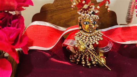 Profil De Krishna Krishna Seva Pinterest