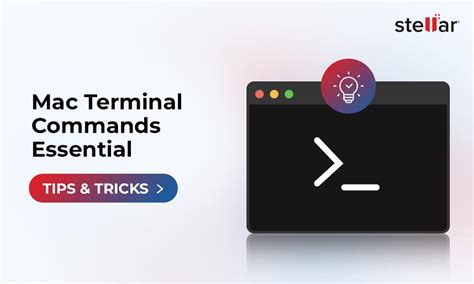 10 effective mac terminal commands every user should know