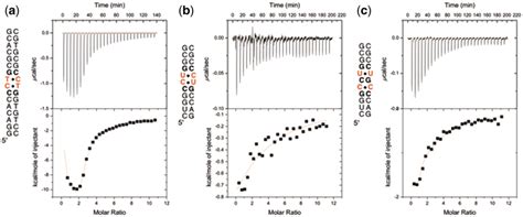 Itc Binding Studies Of Ligand 1 Using A A Dna Sequence Containing A