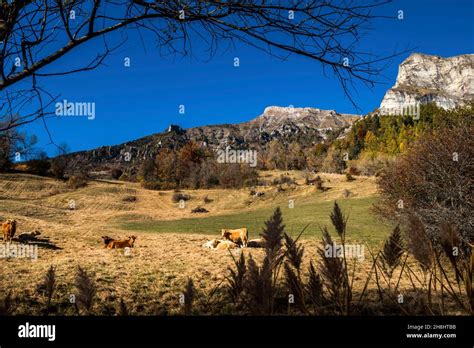 France Hautes Alpes Champsaur Valley Saint Jean Saint Nicolas Le